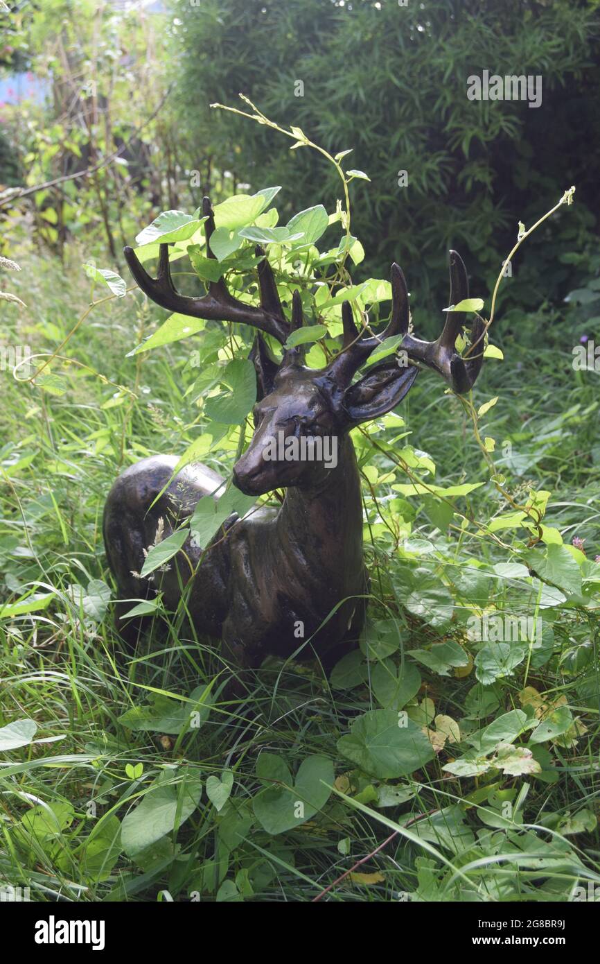 Stag with leaf crown hi-res stock photography and images - Alamy