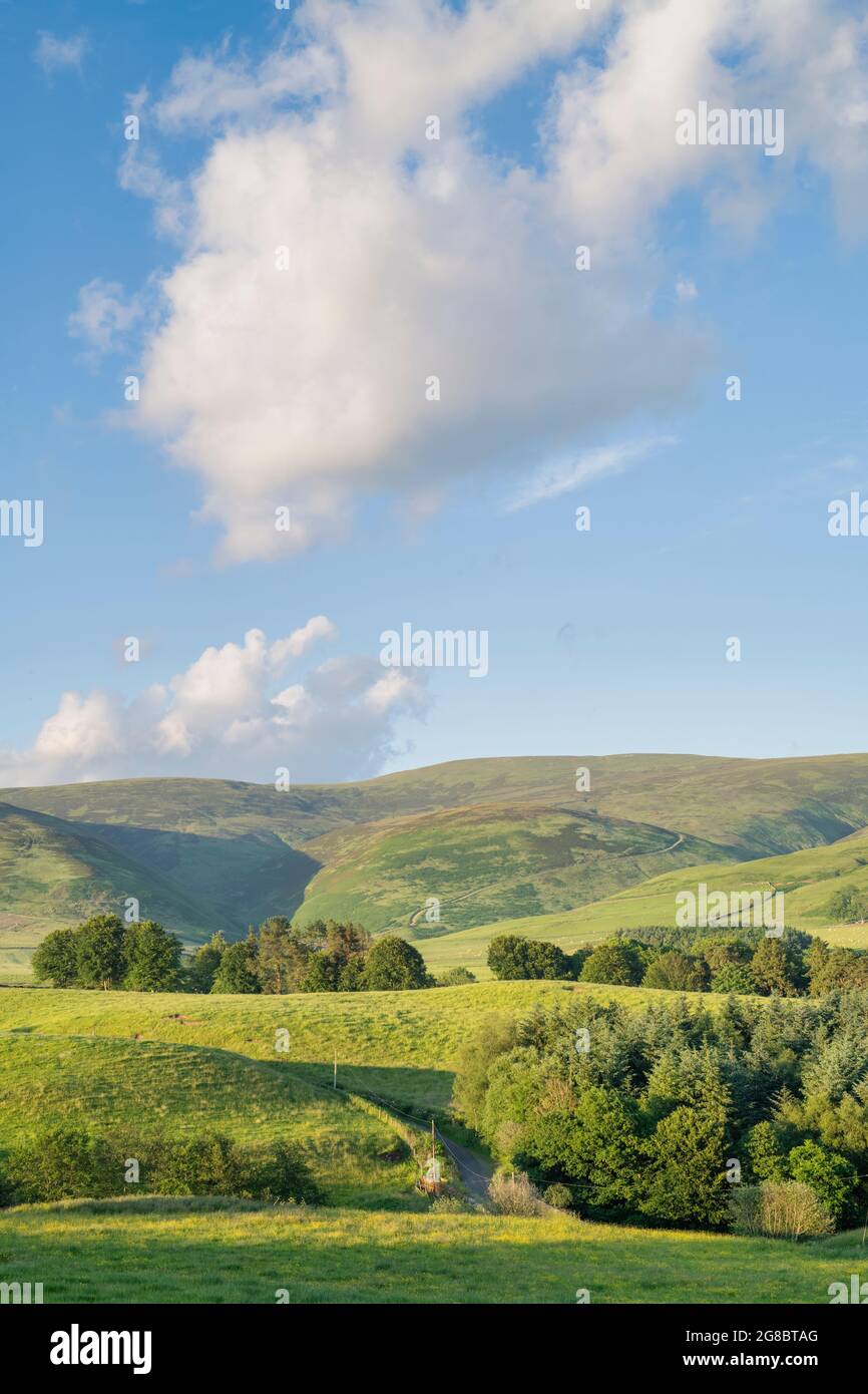 Scottish countryside near Durisdeer in the evening light. Dumfries and ...