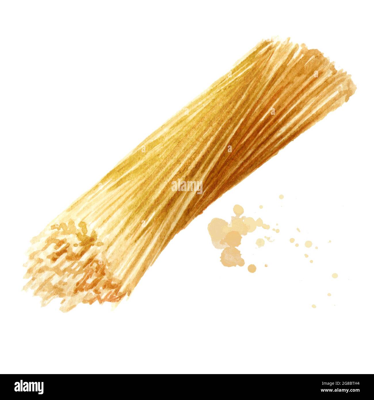 Spaghetti, yellow uncooked pasta. Watercolor hand drawn illustration ...
