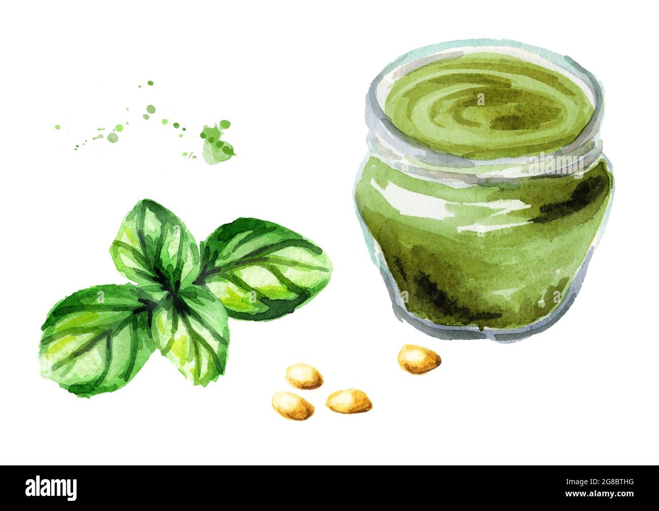 Pesto watercolor hi-res stock photography and images - Alamy
