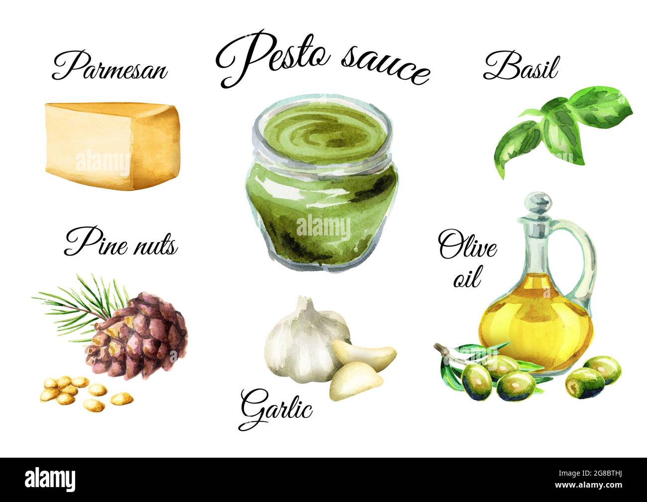 Pesto watercolor hi-res stock photography and images - Alamy