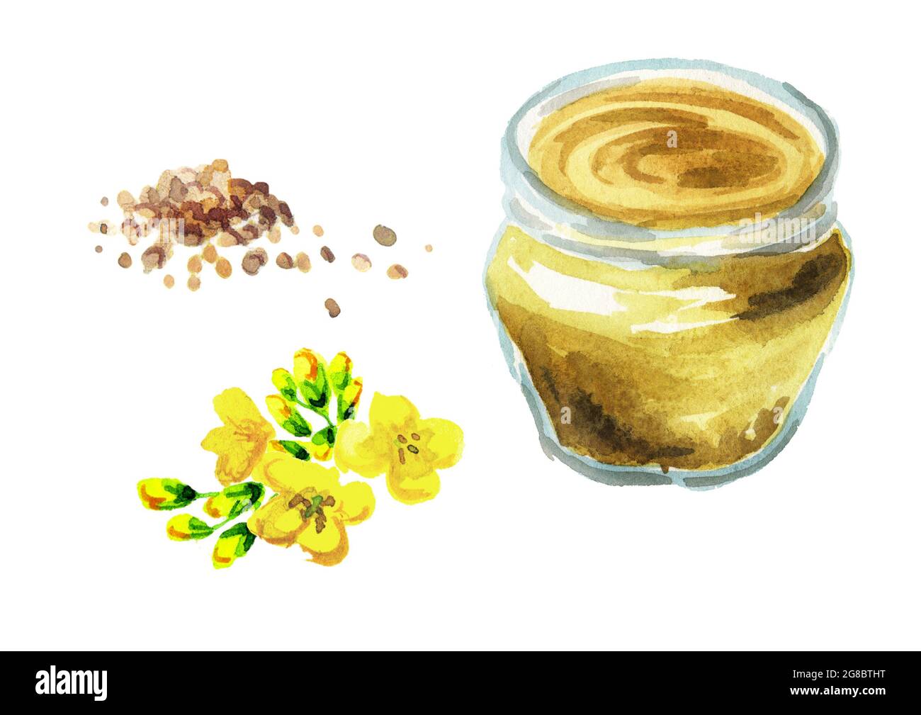 Mustard sauce. Watercolor hand drawn watercolor isolated illustration ...