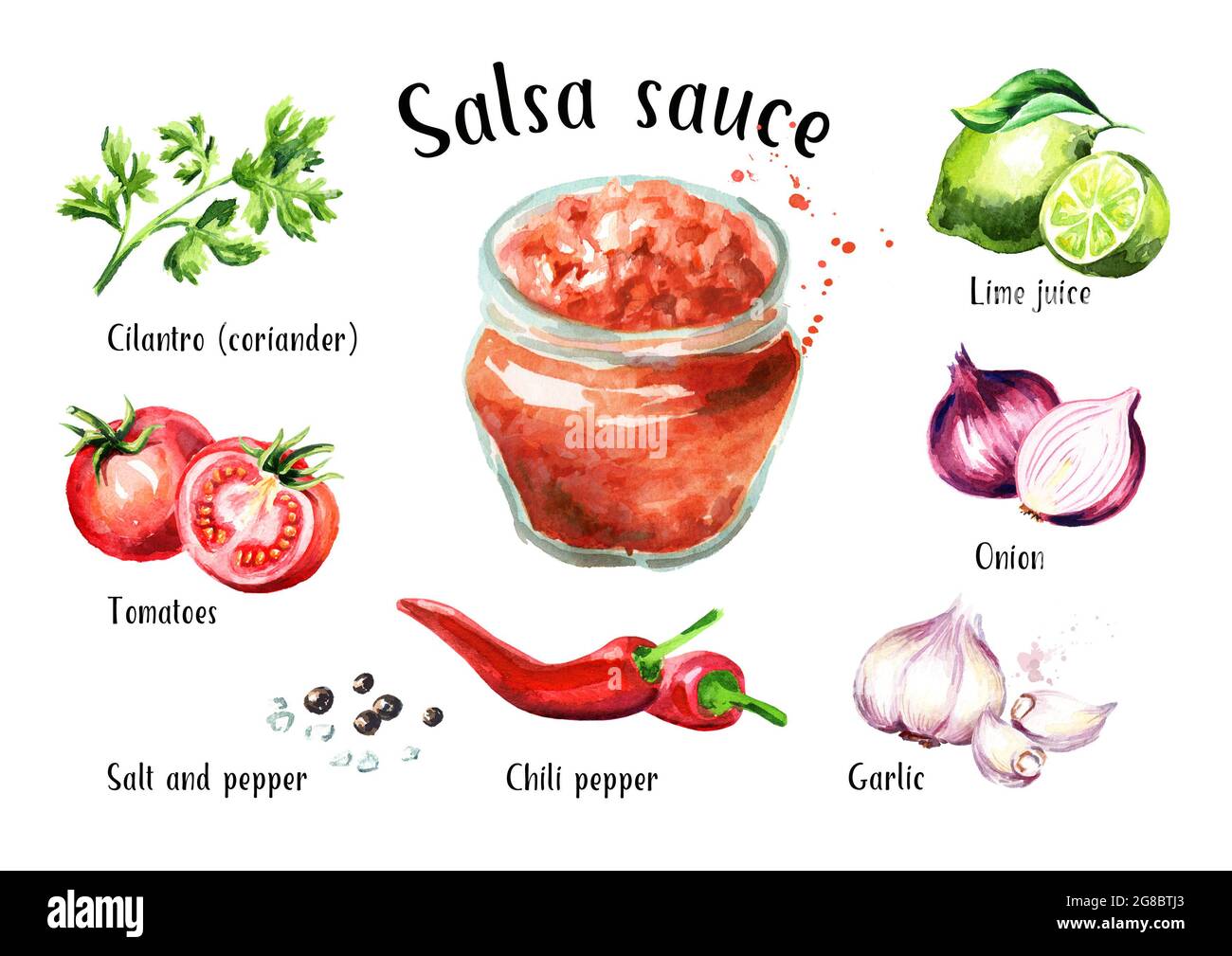 Salsa sauce with all ingredients ser. Watercolor hand drawn ...