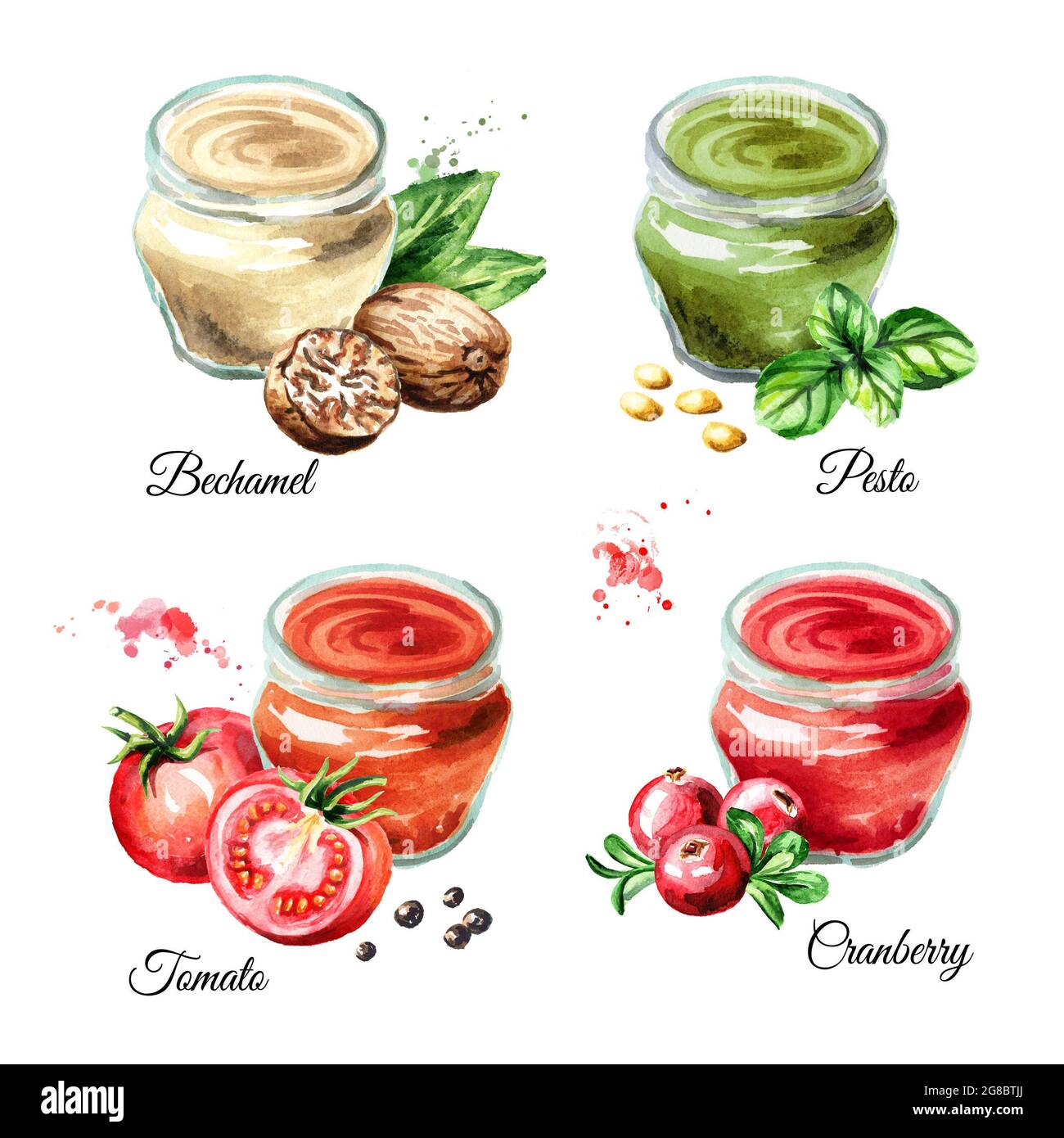 Sauce set 1. Bechamel, pesto, tomato, cranberry. Watercolor hand drawn ...