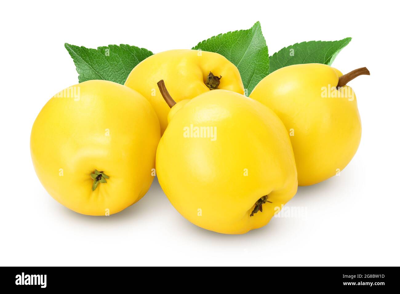 Fresh quince isolated on the white background with clipping path and ...