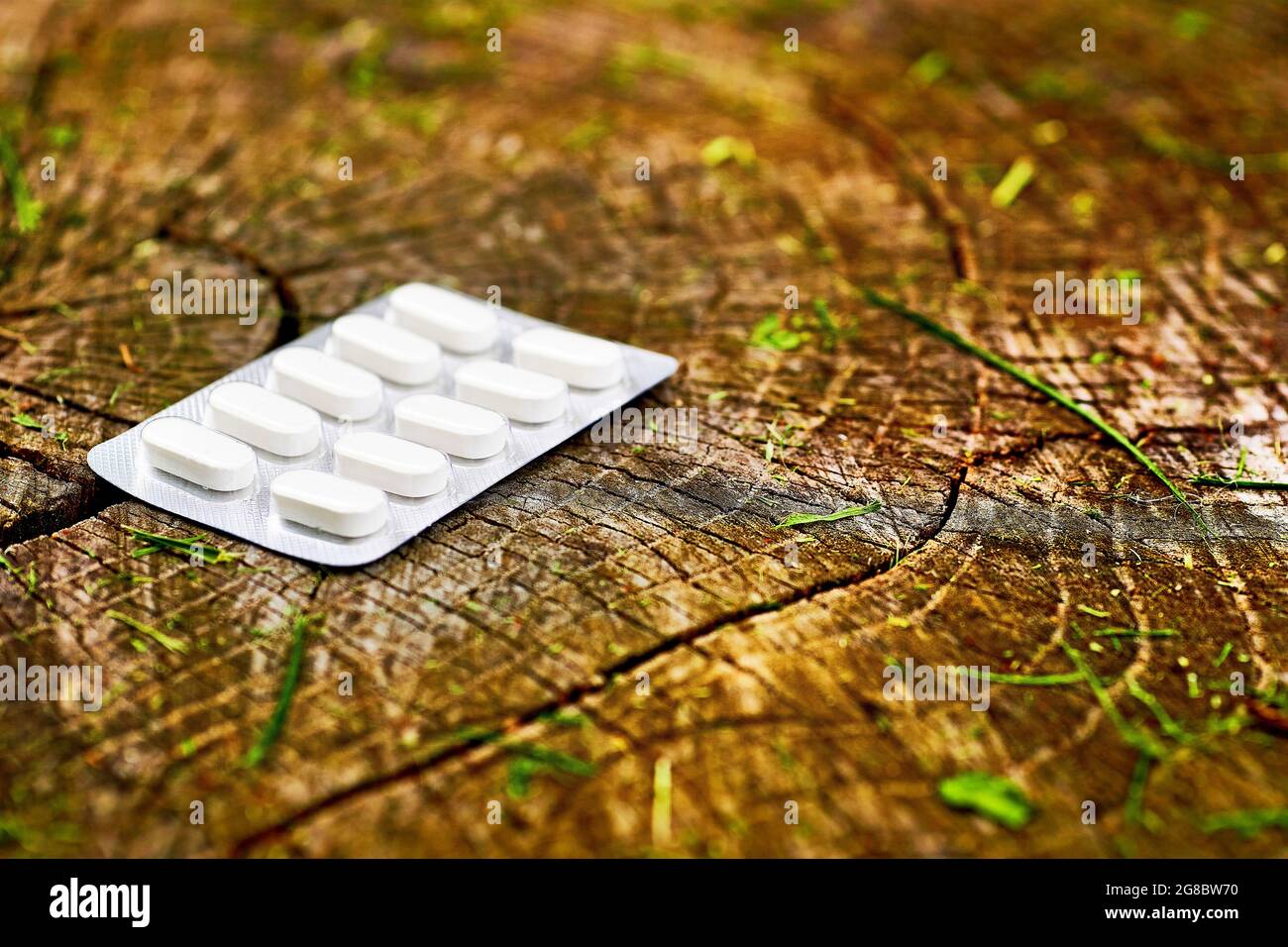 Stump treatment hi-res stock photography and images - Alamy