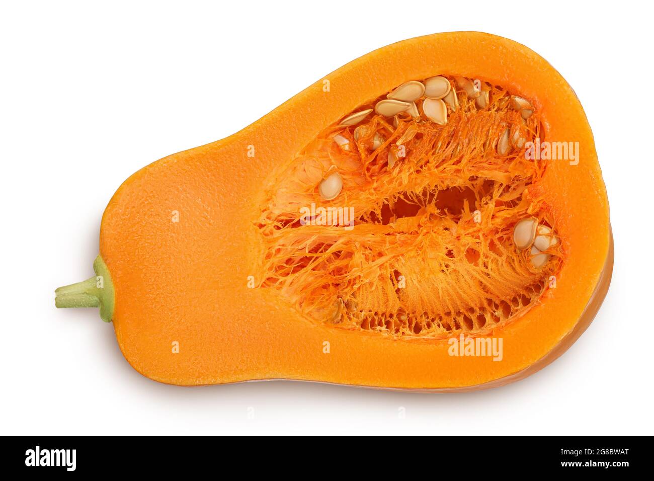 butternut squash half isolated on white background with clipping path ...