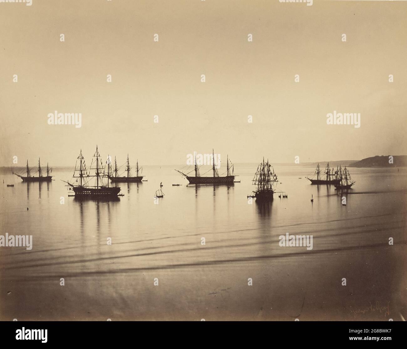 vintage, retro, old, photograph, century, botany, graphics, antique ...