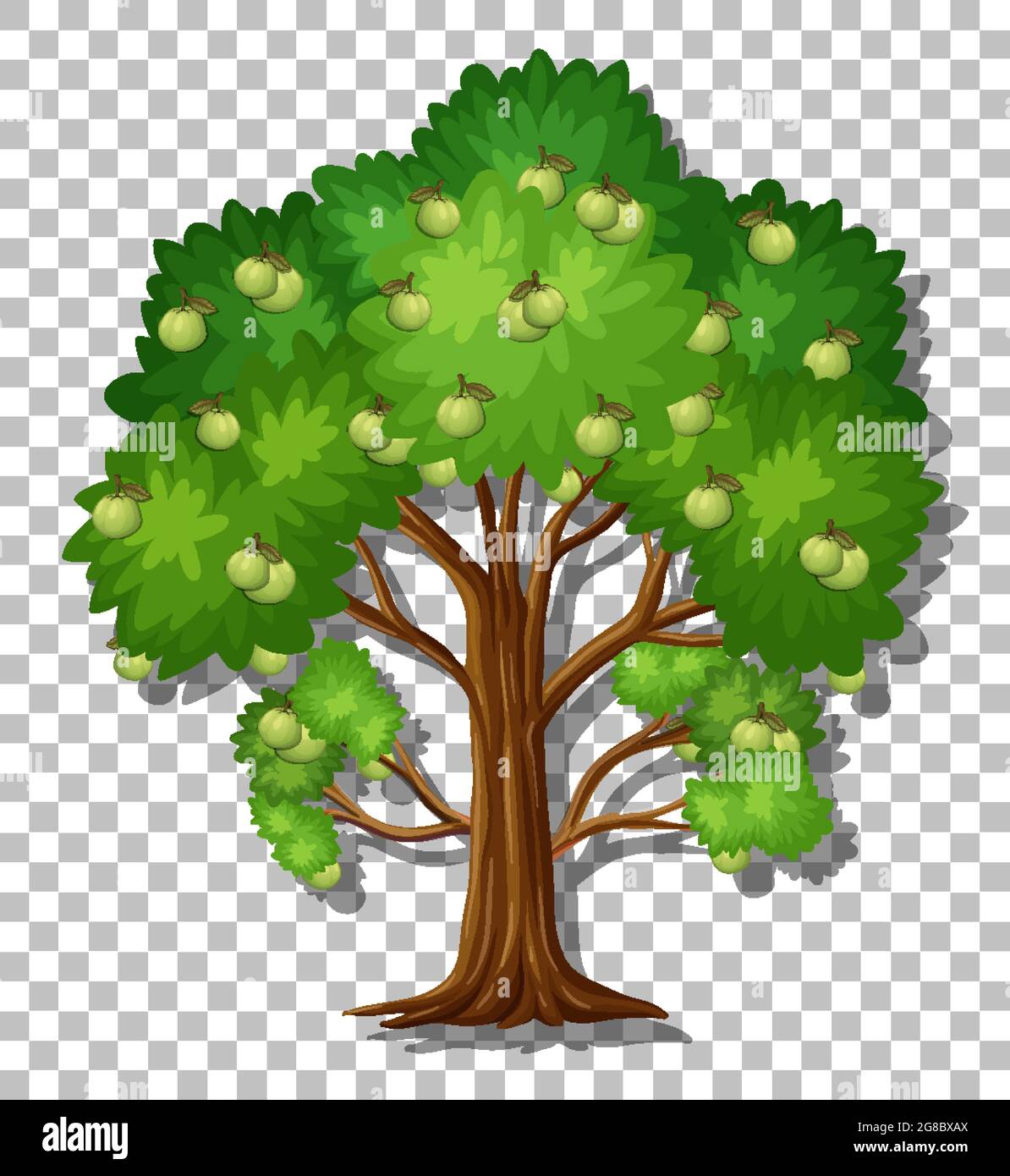 Guava tree on transparent background illustration Stock Vector Image ...