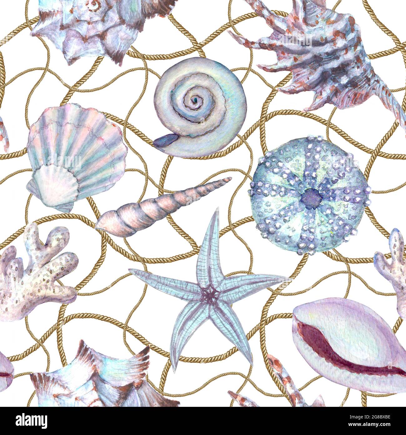 Sea Shell Wallpaper Texture Seashell Seamless Pattern. Summer Ocean