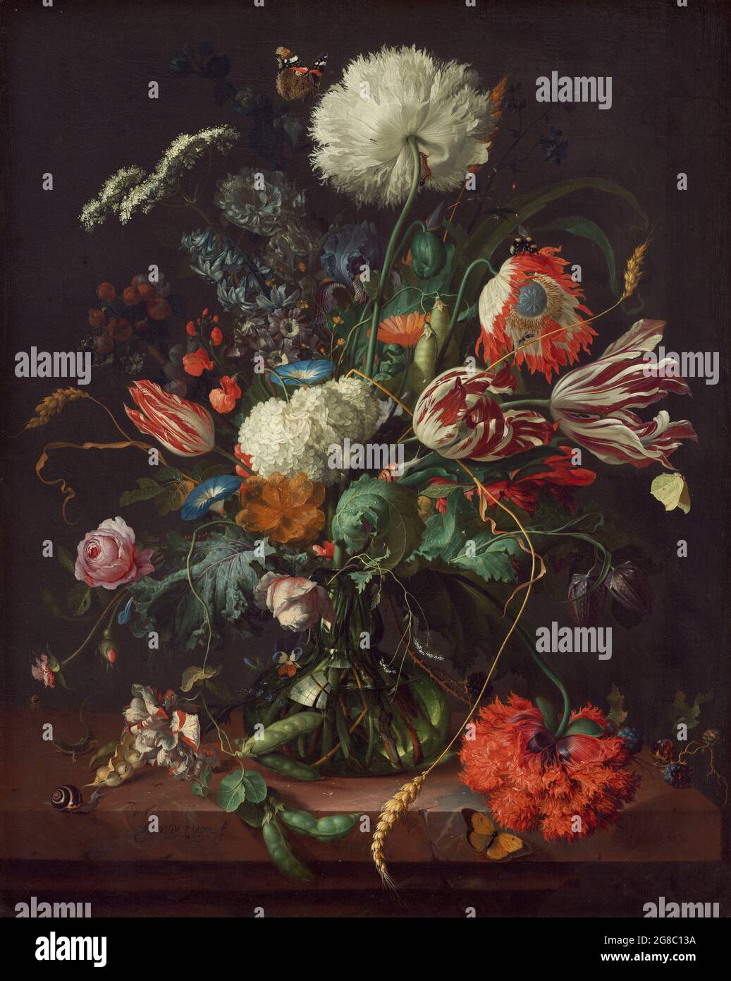 vintage, retro, old, photograph, century, botany, graphics, antique ...