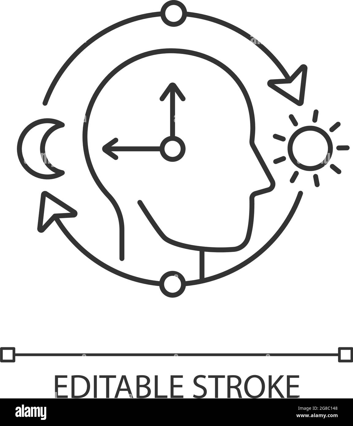 Circadian rhythms linear icon Stock Vector Image & Art - Alamy