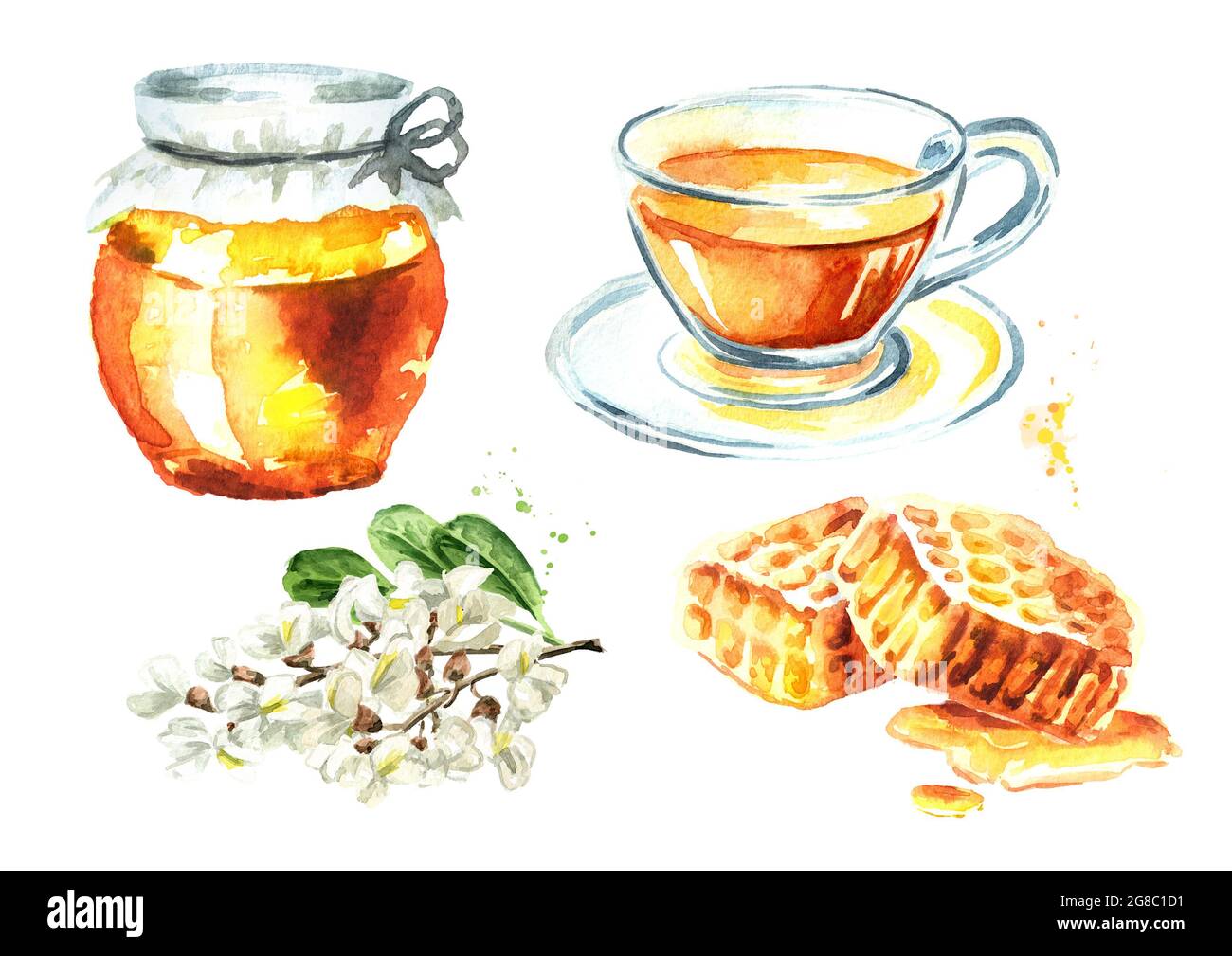 Honey, tea and acacia or Sophora Japonica flower set. Hand drawn ...