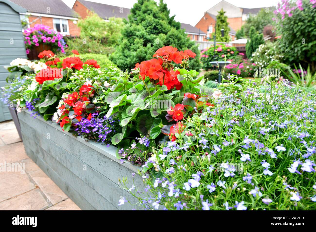 Urban Summer Garden in full bloom, July 2021 Stock Photo - Alamy
