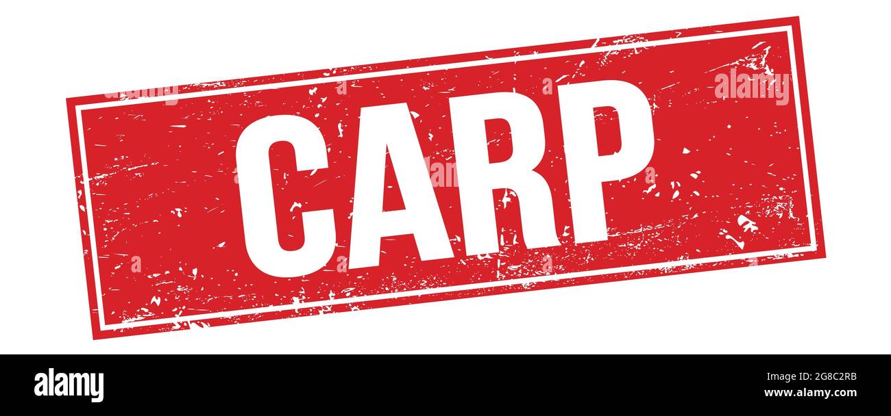 CARP text on red grungy rectangle stamp sign Stock Photo - Alamy