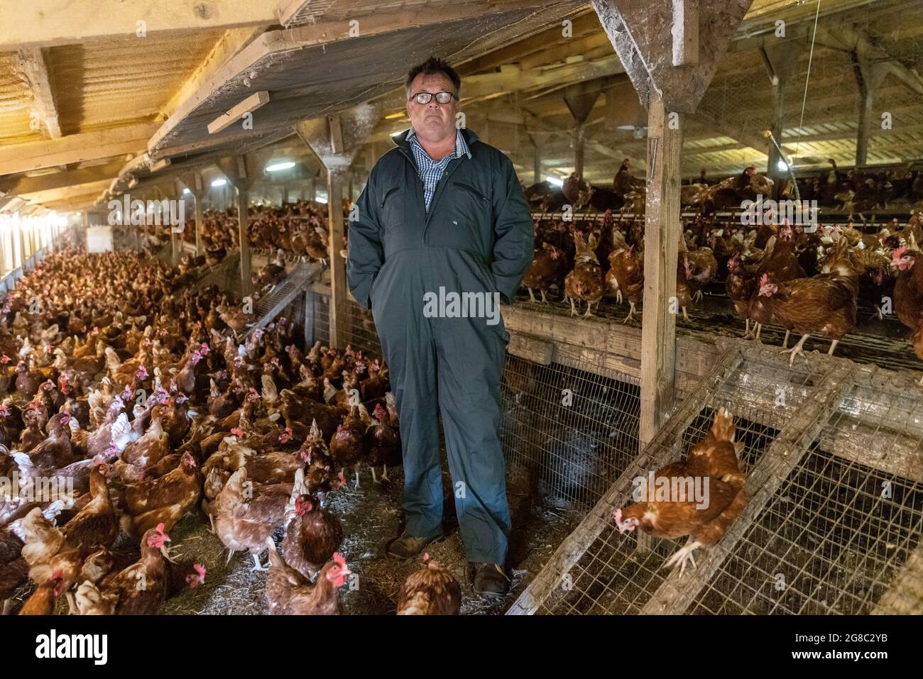 Egg farmer douglas wanstall hi-res stock photography and images - Alamy