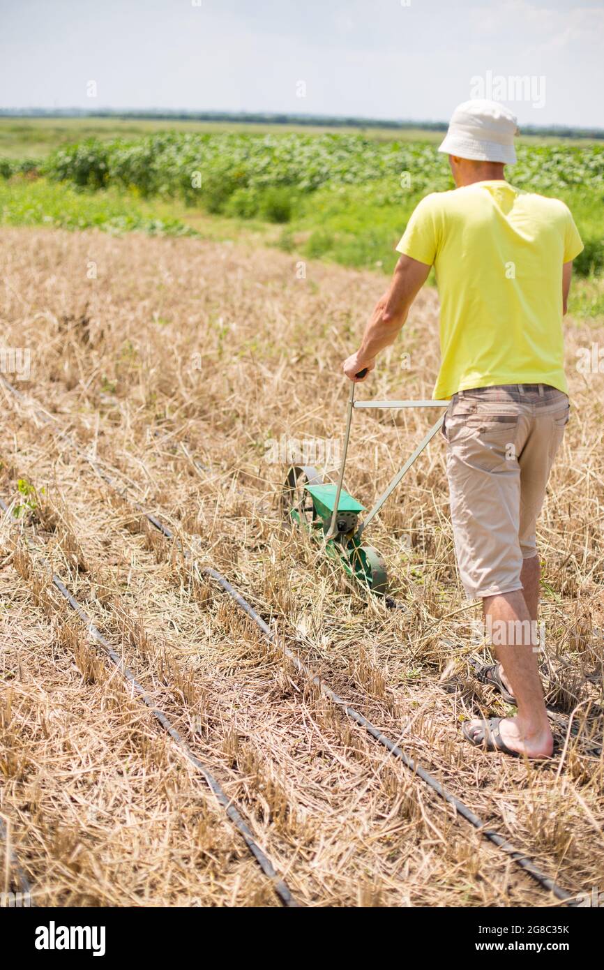 Man reseeding crops after drought wityh using drip tapes Stock Photo ...