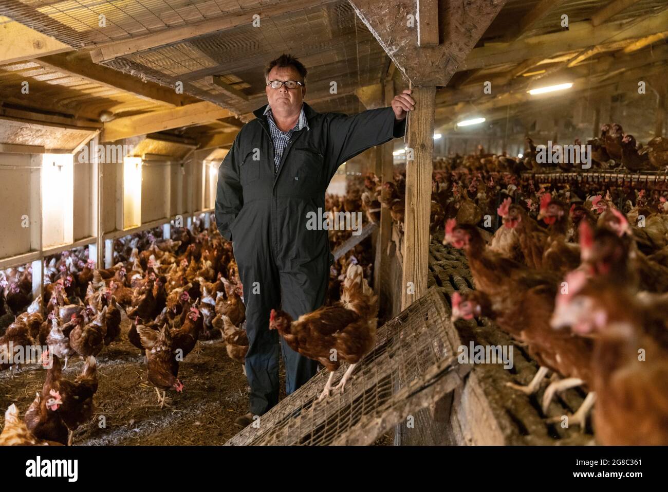 Egg farmer douglas wanstall hi-res stock photography and images - Alamy