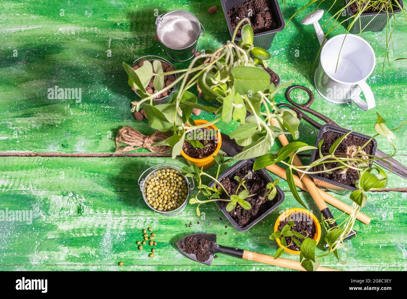 Spring planting and gardening concept. Tools, watering can, flowerpots ...