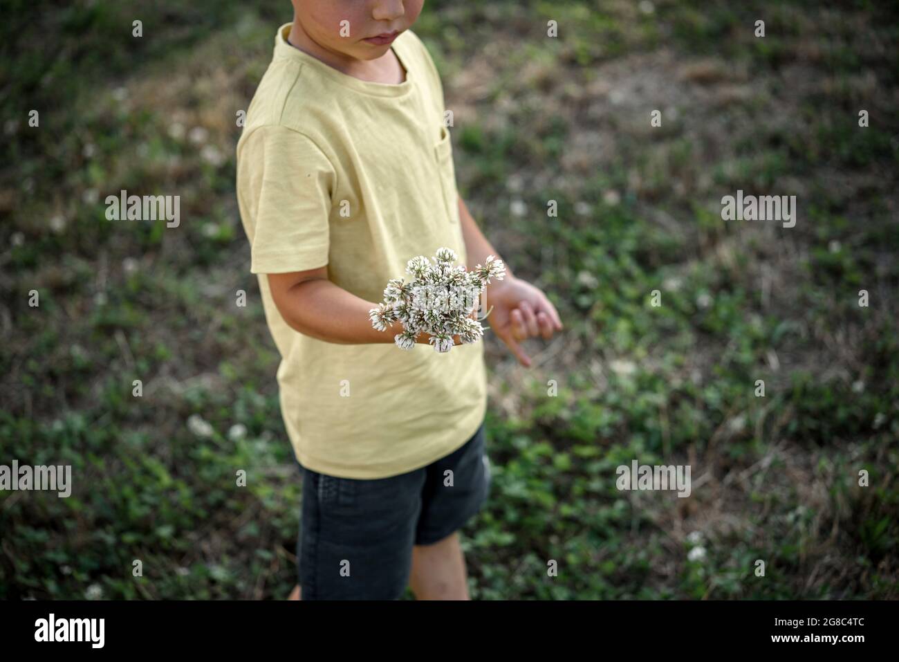 Little boy with a bunch of white clover flowers in his hand walking in ...