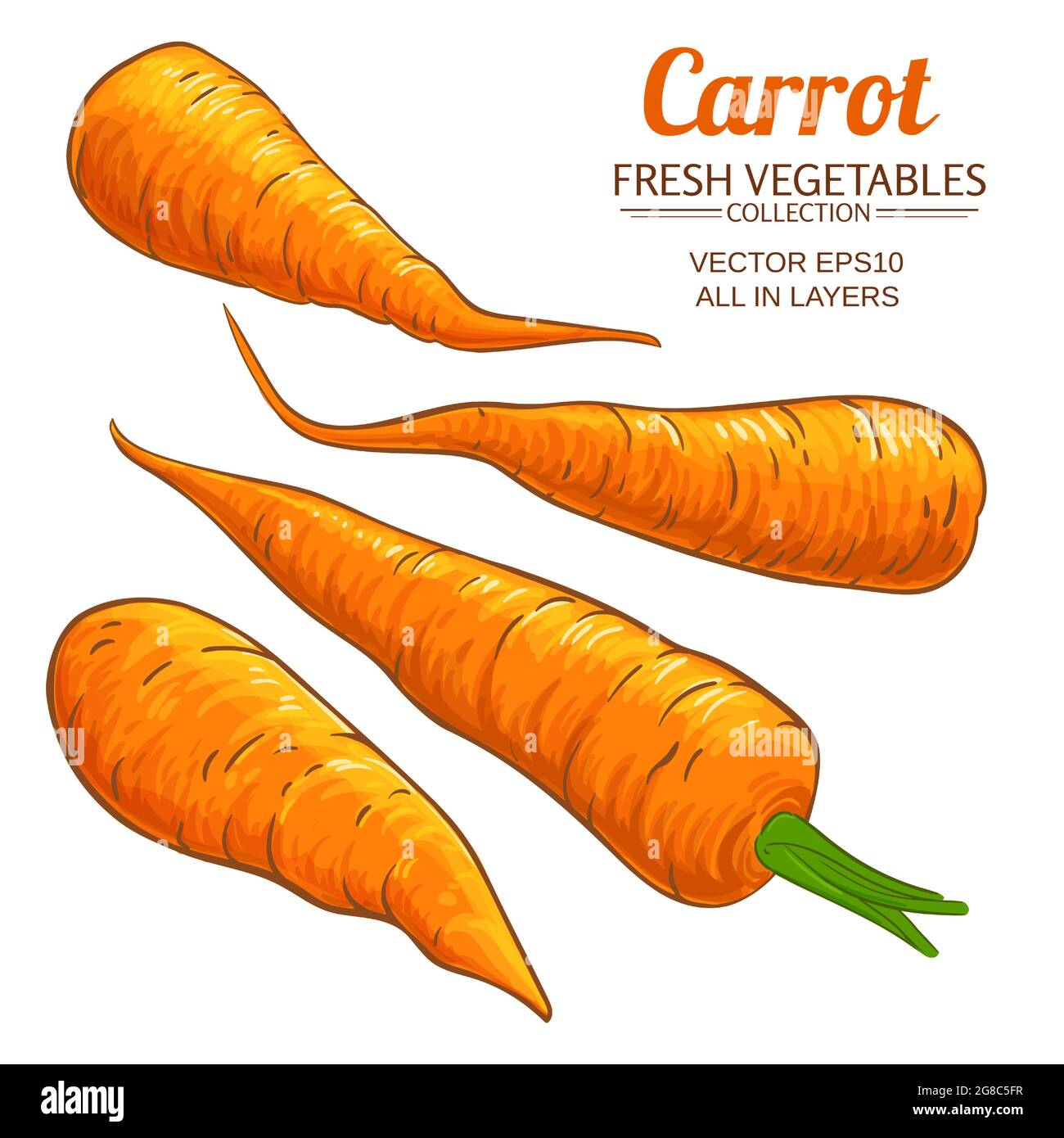 carrot vector set on white background Stock Vector Image & Art - Alamy