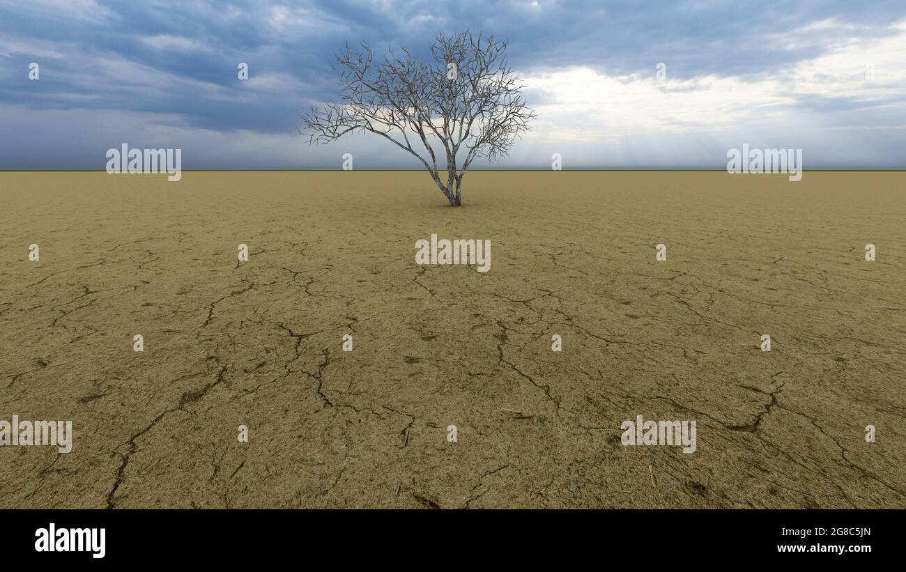 Concept or conceptual desert landscape with a parched tree as a ...