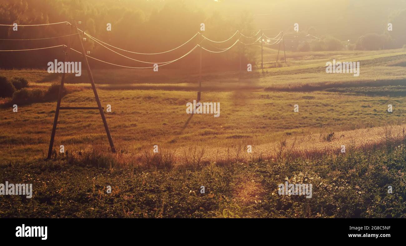 Golden wheatfield in sunset hi-res stock photography and images - Alamy