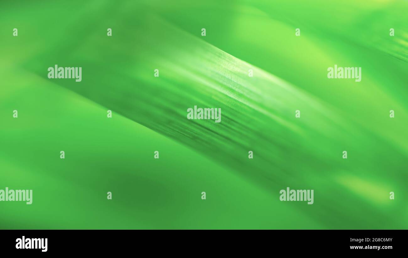natural blurred background of green grass Stock Photo - Alamy