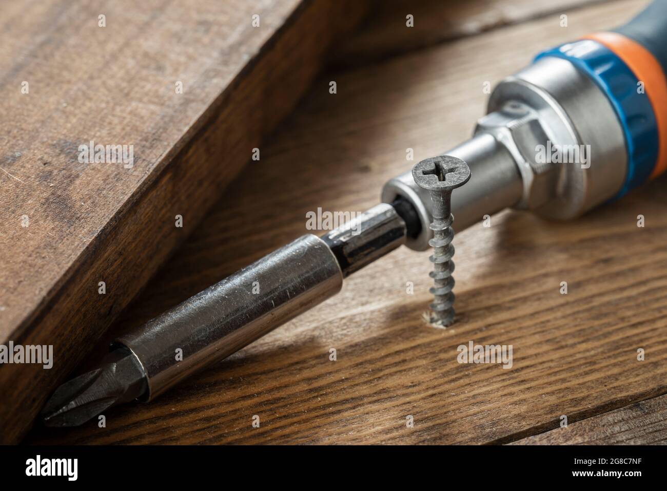 Self-tapping screw screwed into a wooden board close-up. Screw for wood ...