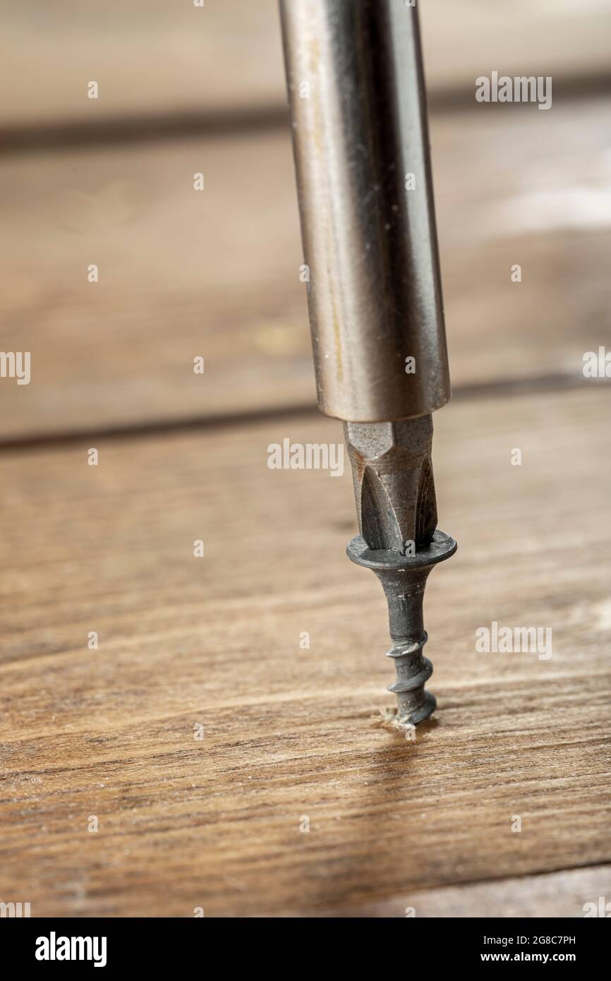 Self-tapping screw screwed into a wooden board close-up. Screw for wood ...