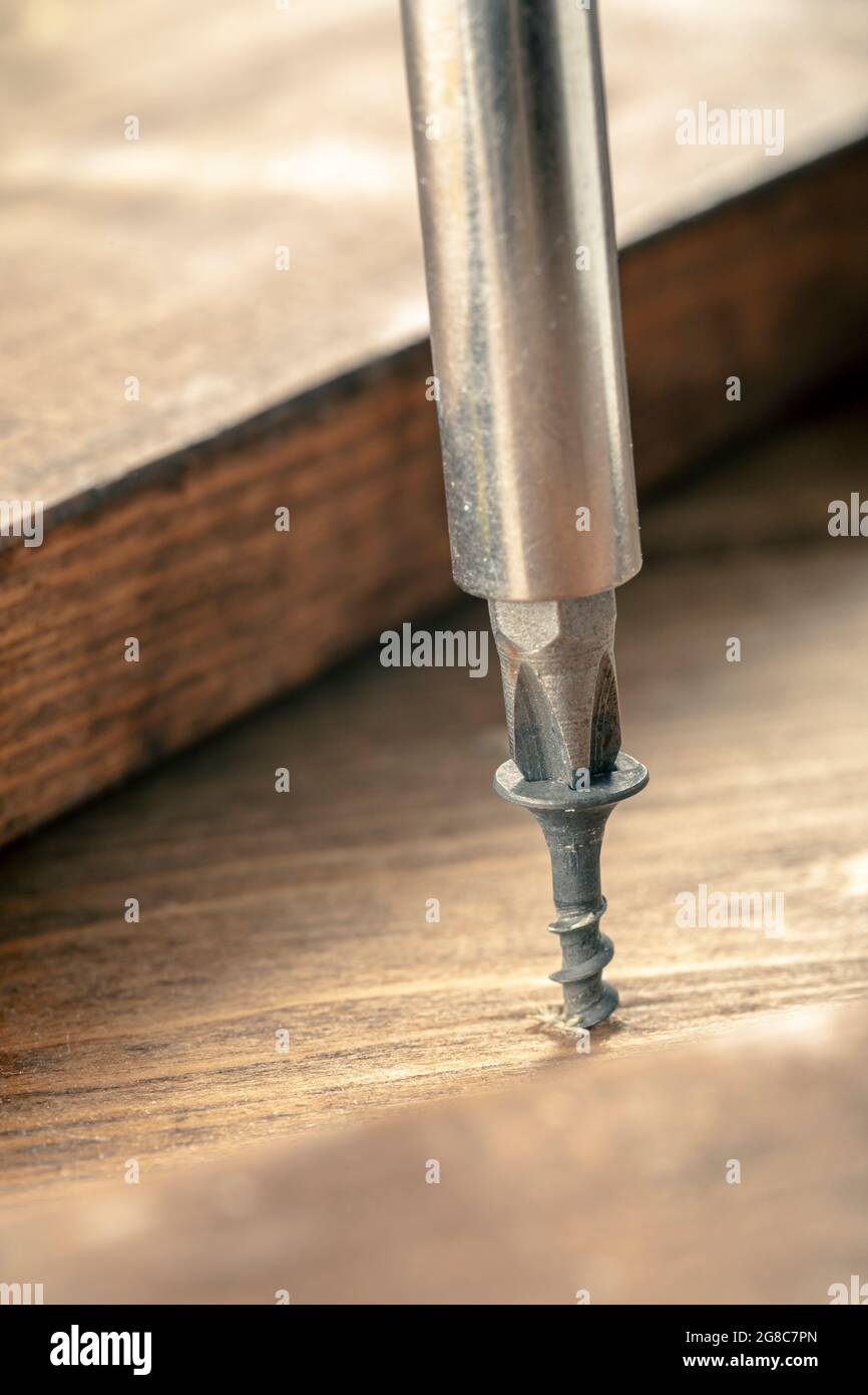 Self-tapping screw screwed into a wooden board close-up. Screw for wood ...
