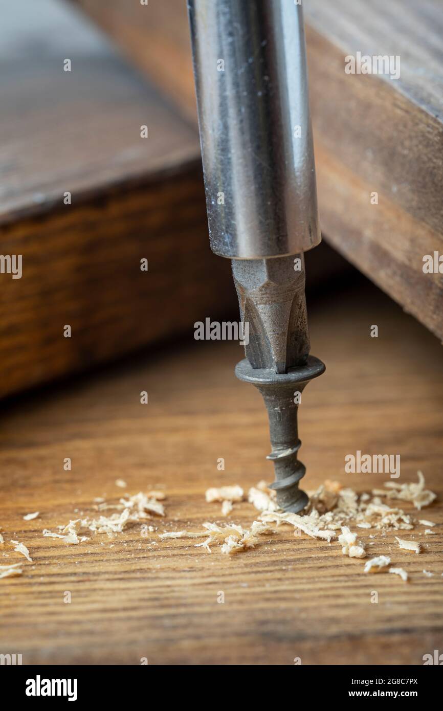 Self-tapping screw screwed into a wooden board close-up. Screw for wood ...