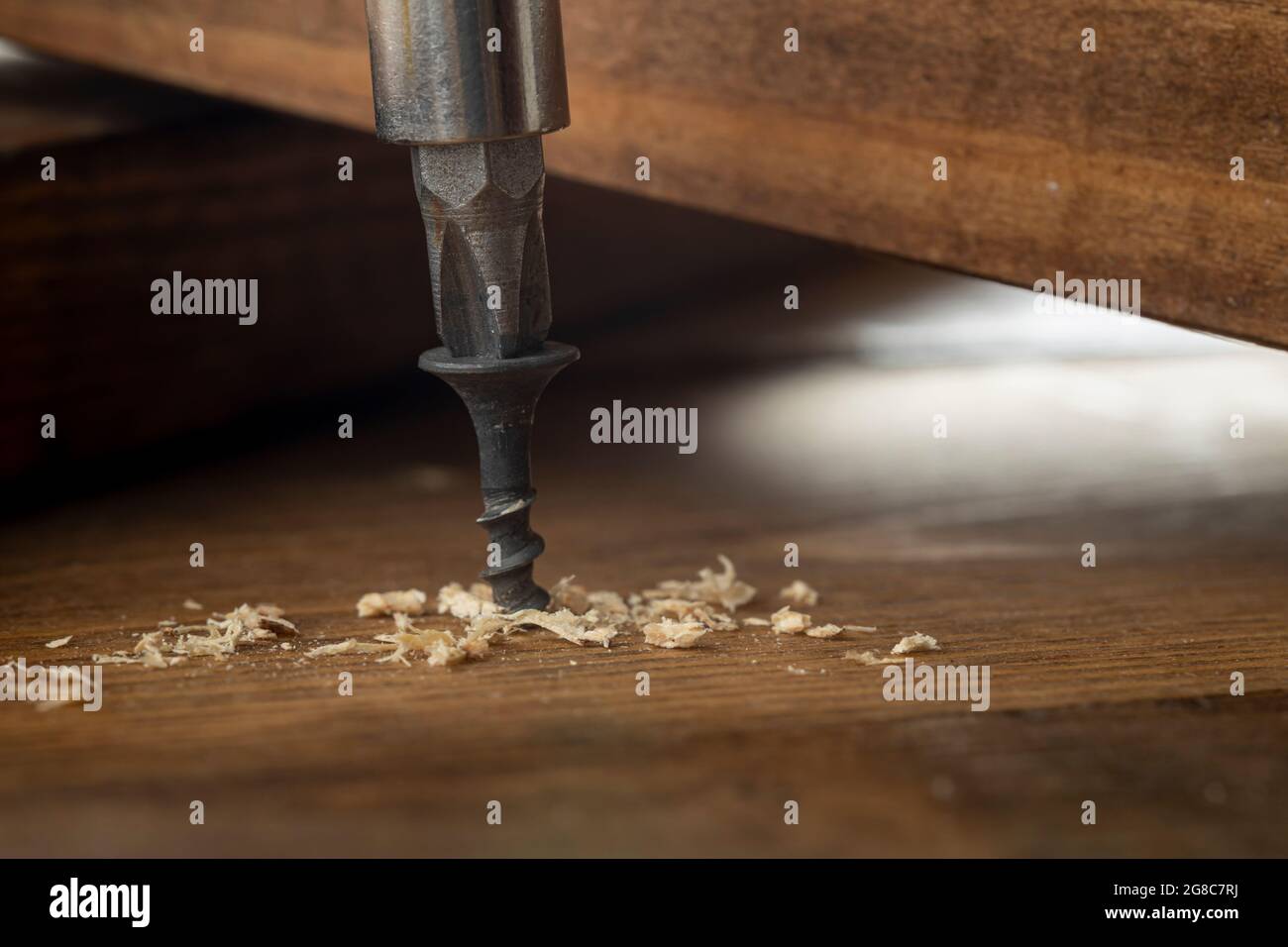 Self-tapping screw screwed into a wooden board close-up. Screw for wood ...