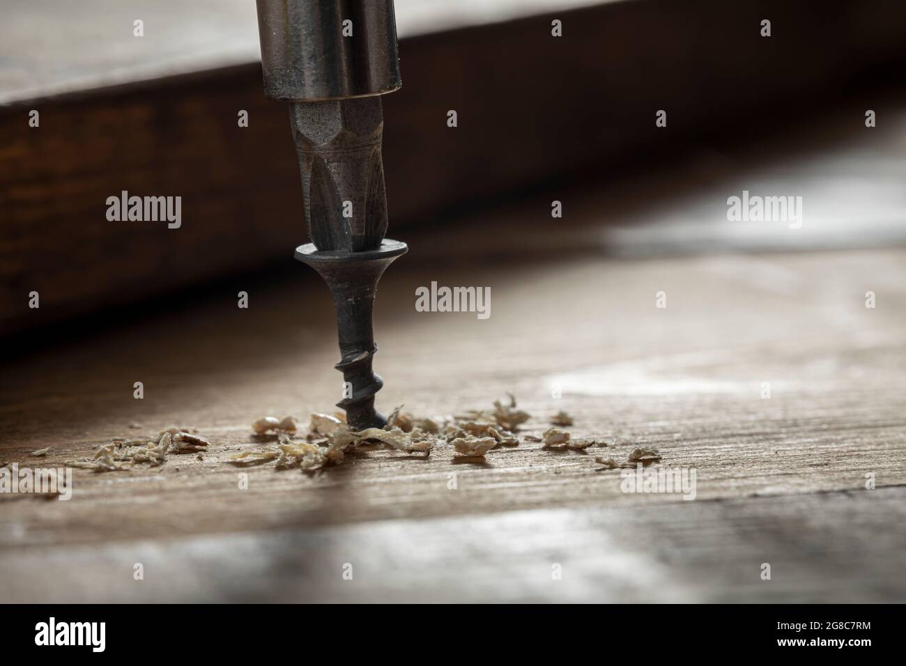 Self-tapping screw screwed into a wooden board close-up. Screw for wood ...