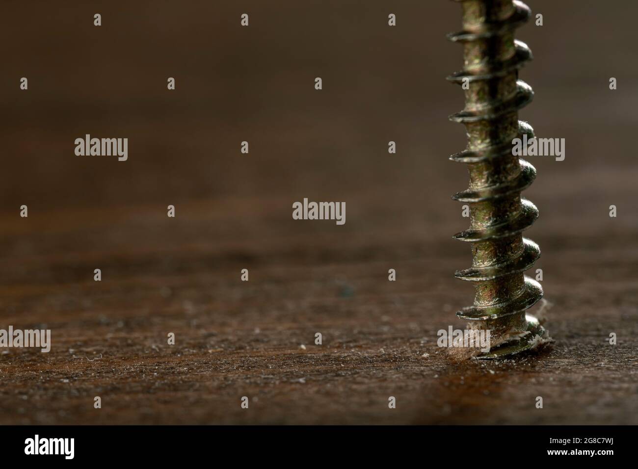 Self-tapping screw screwed into a wooden board close-up. Screw for wood ...