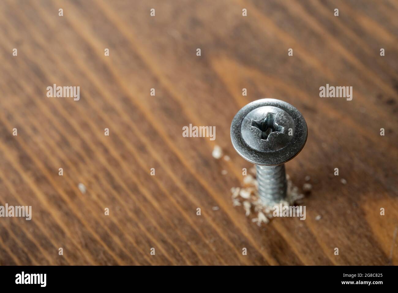 Self-tapping screw screwed into a wooden board close-up. Screw for wood ...