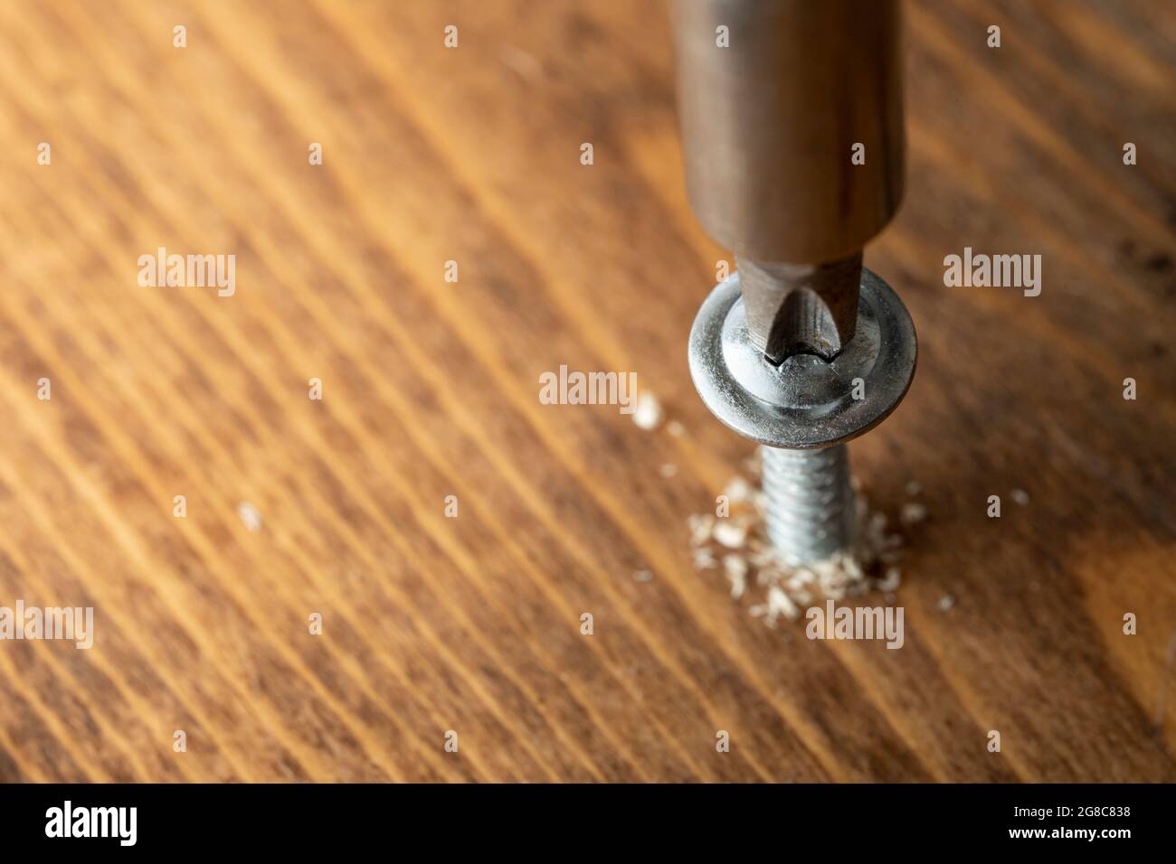 Self-tapping screw screwed into a wooden board close-up. Screw for wood ...