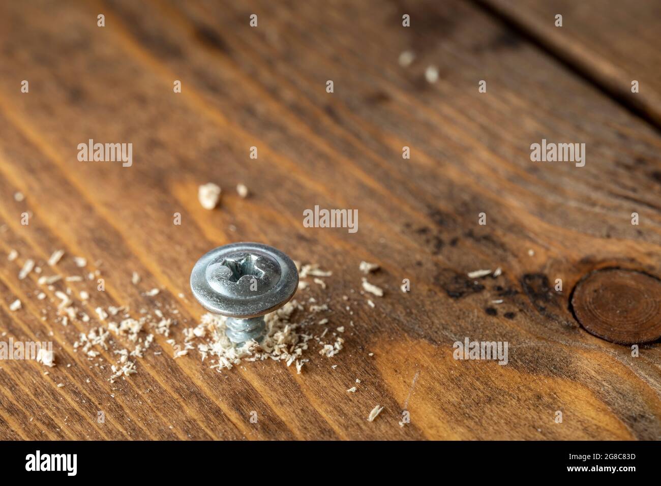 Self-tapping screw screwed into a wooden board close-up. Screw for wood ...