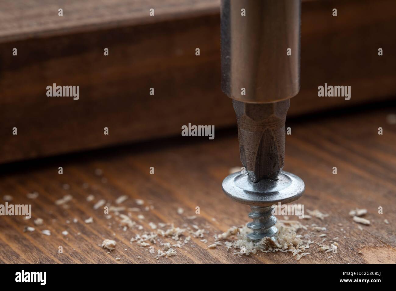 Self-tapping screw screwed into a wooden board close-up. Screw for wood ...