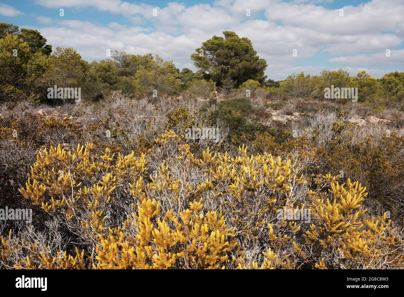 Brughiera hi-res stock photography and images - Alamy