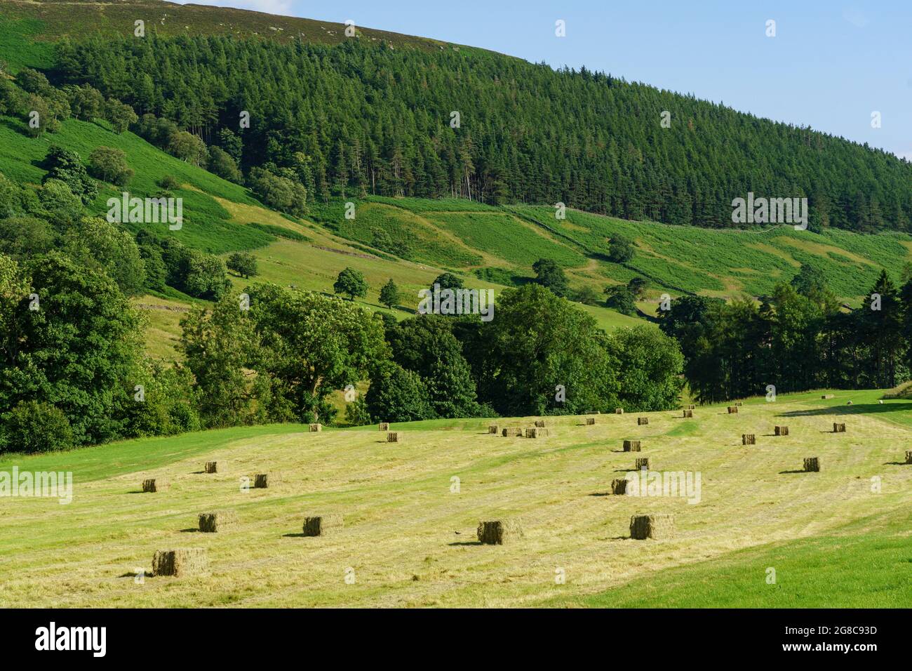Square-shaped bales of hay waiting to be harvested in the valley of a ...