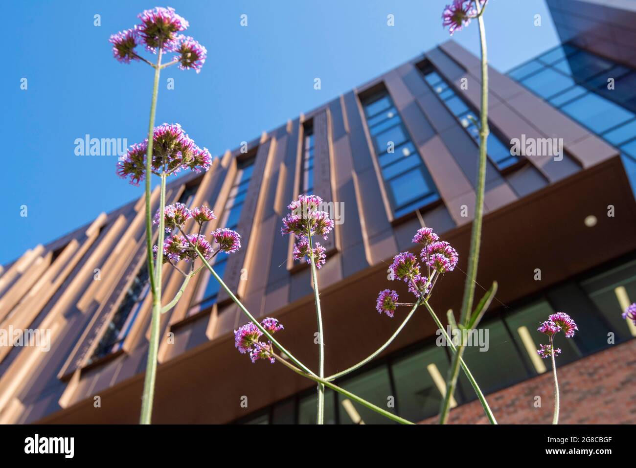 Summer morning at the new Nottingham College City Hub on the Southside ...