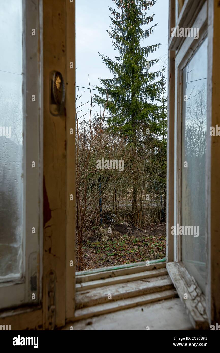 View from a windows of a village houses on spruce. Old village house in ...