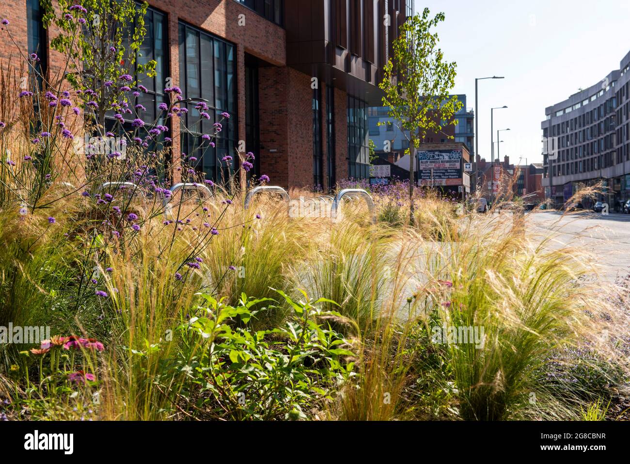 Summer morning at the new Nottingham College City Hub on the Southside ...