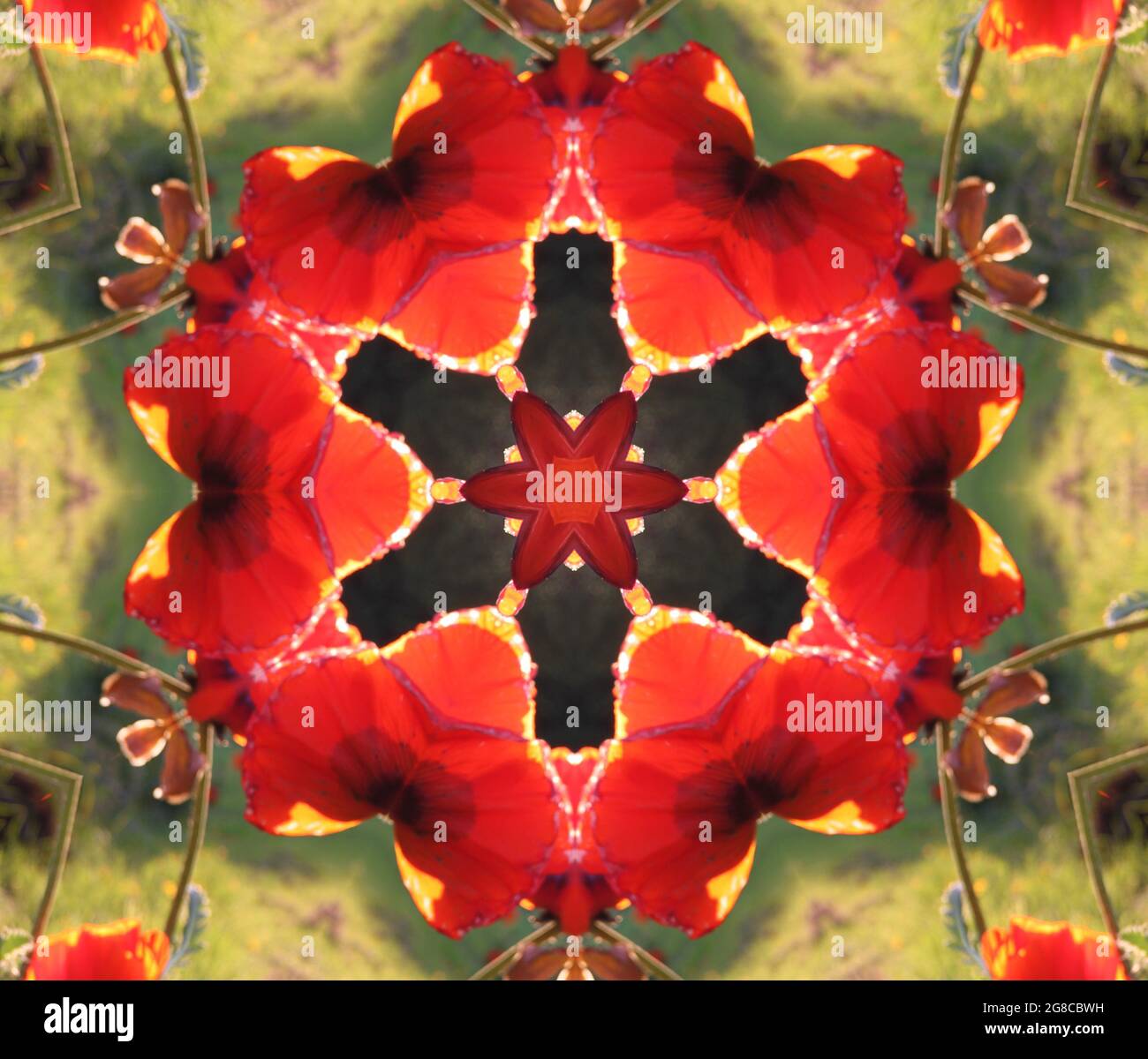 Abstract geometric flower art hi-res stock photography and images - Alamy