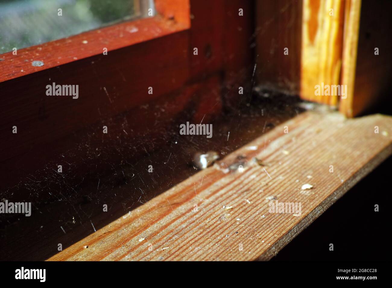 dirty window sill with spider web, shallow DOF Stock Photo - Alamy