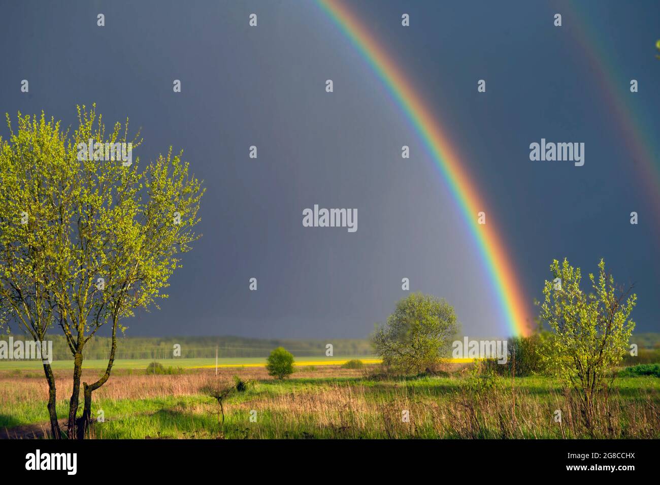 Double rainbow over a meadow after storm, summertime shot Stock Photo ...