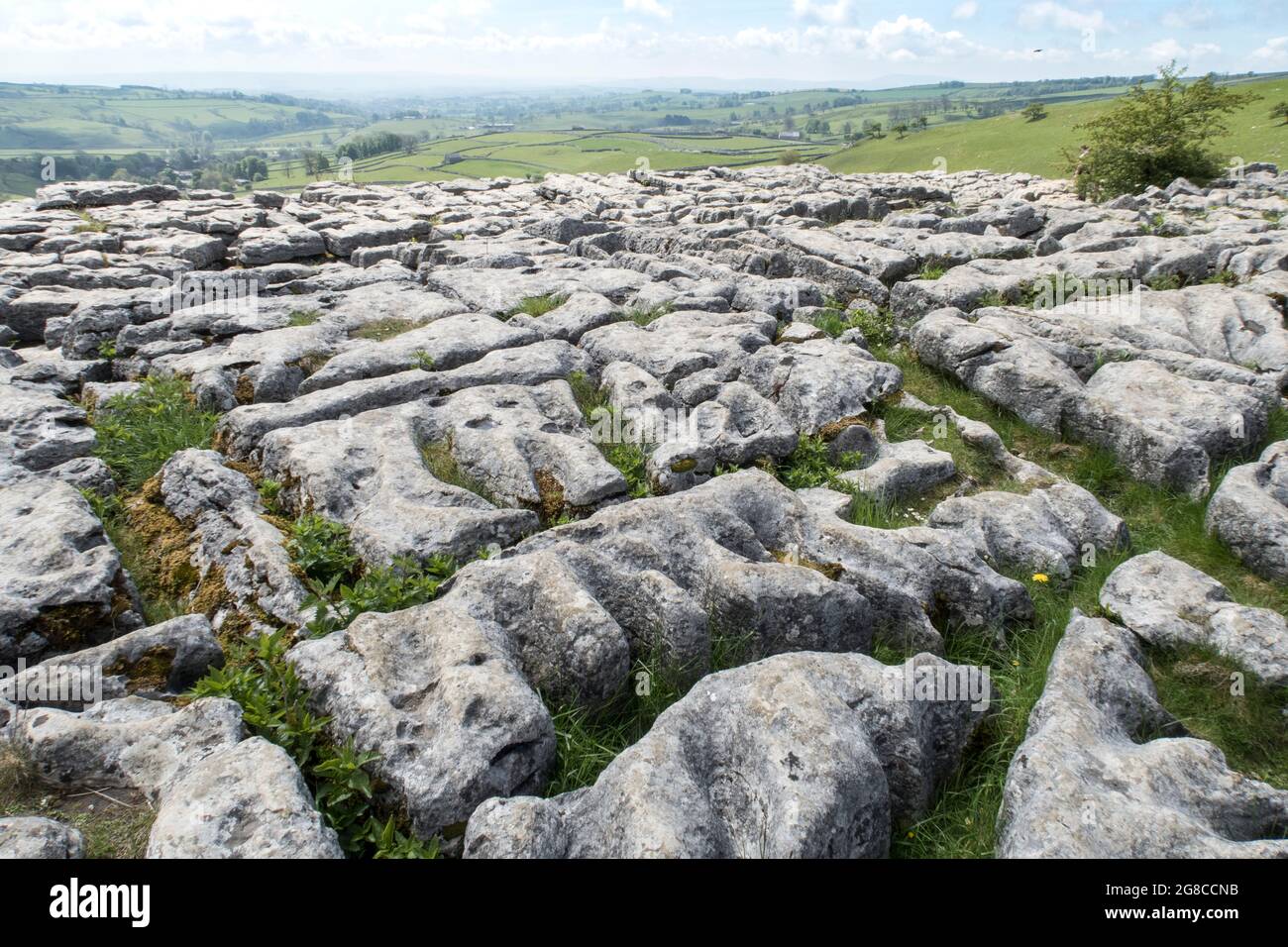 Limestone pavement Malham Cove Yorkshire Dales Stock Photo - Alamy