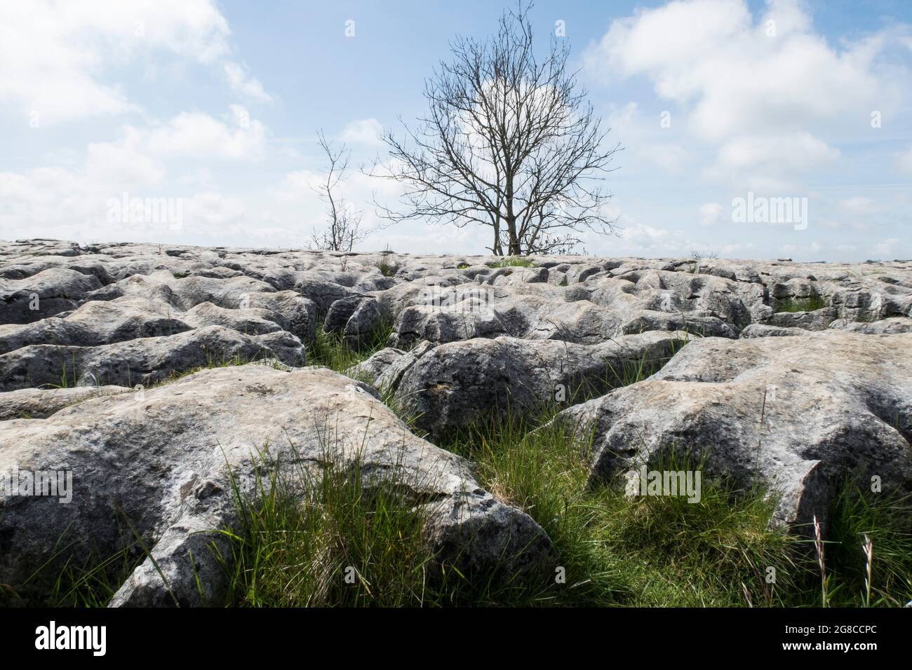 Limestone pavement Malham Cove Yorkshire Dales Stock Photo - Alamy