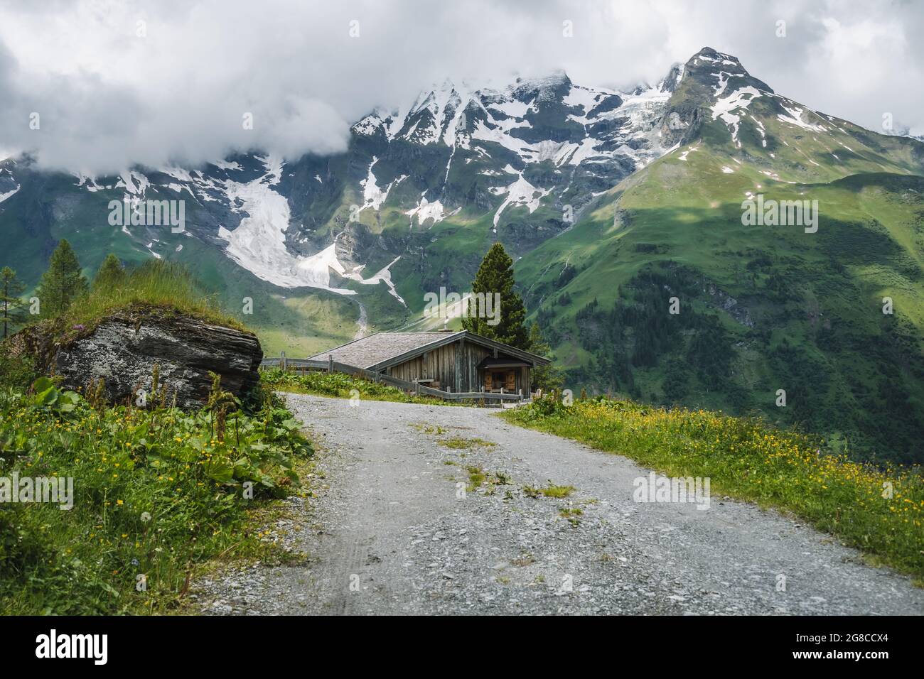Beautiful idyllic nature green meadow of Alps mountains range covered ...